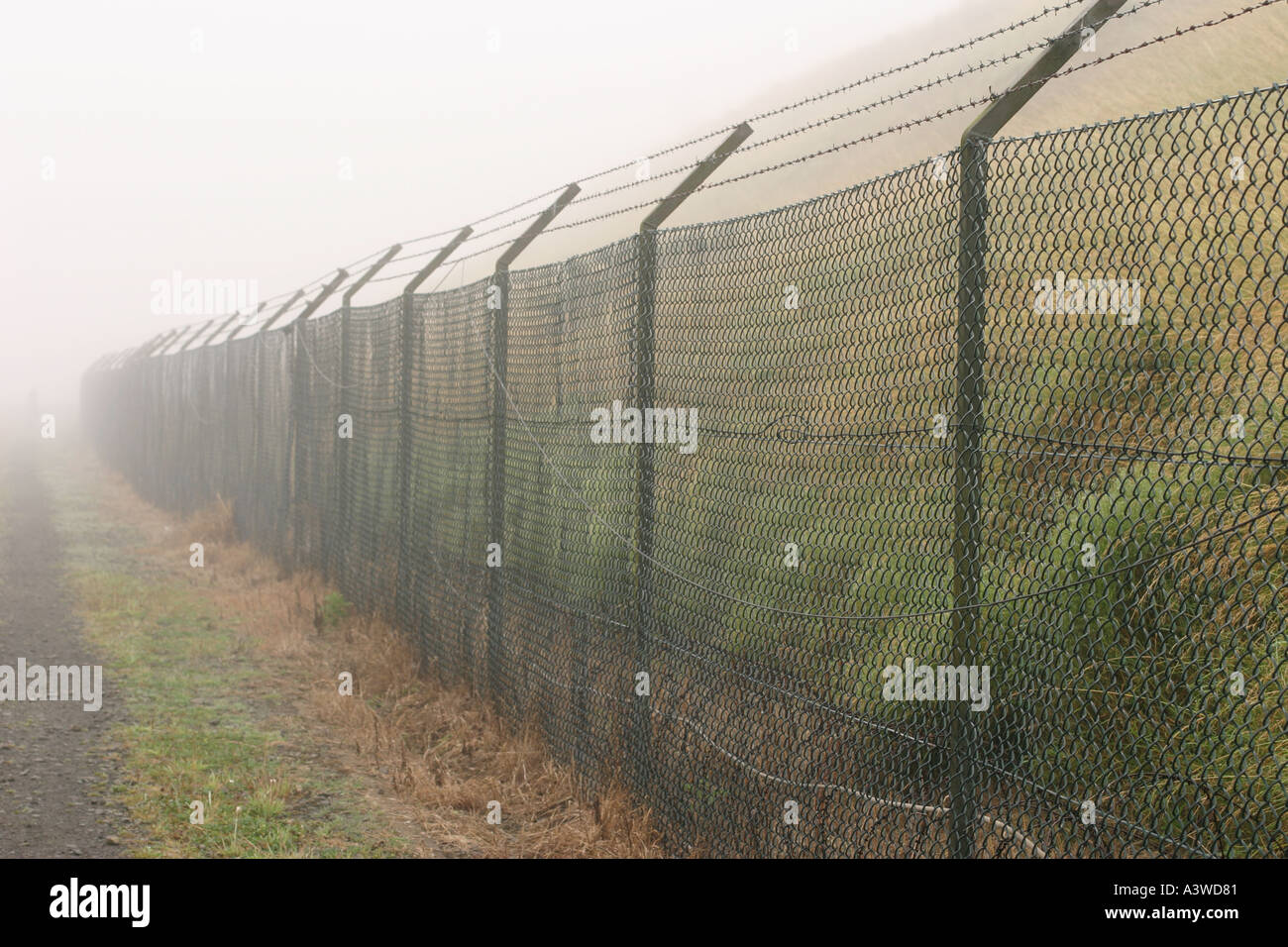 Barbed wire perimeter fence Stock Photo - Alamy