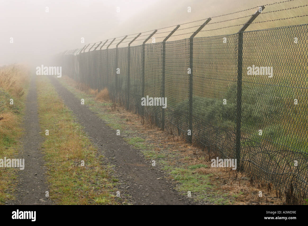 Barbed wire perimeter fence Stock Photo - Alamy