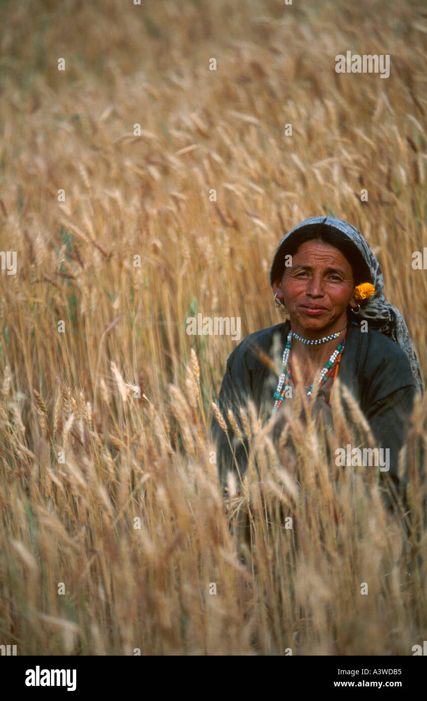 Woman coy shy expression hi-res stock photography and images - Alamy