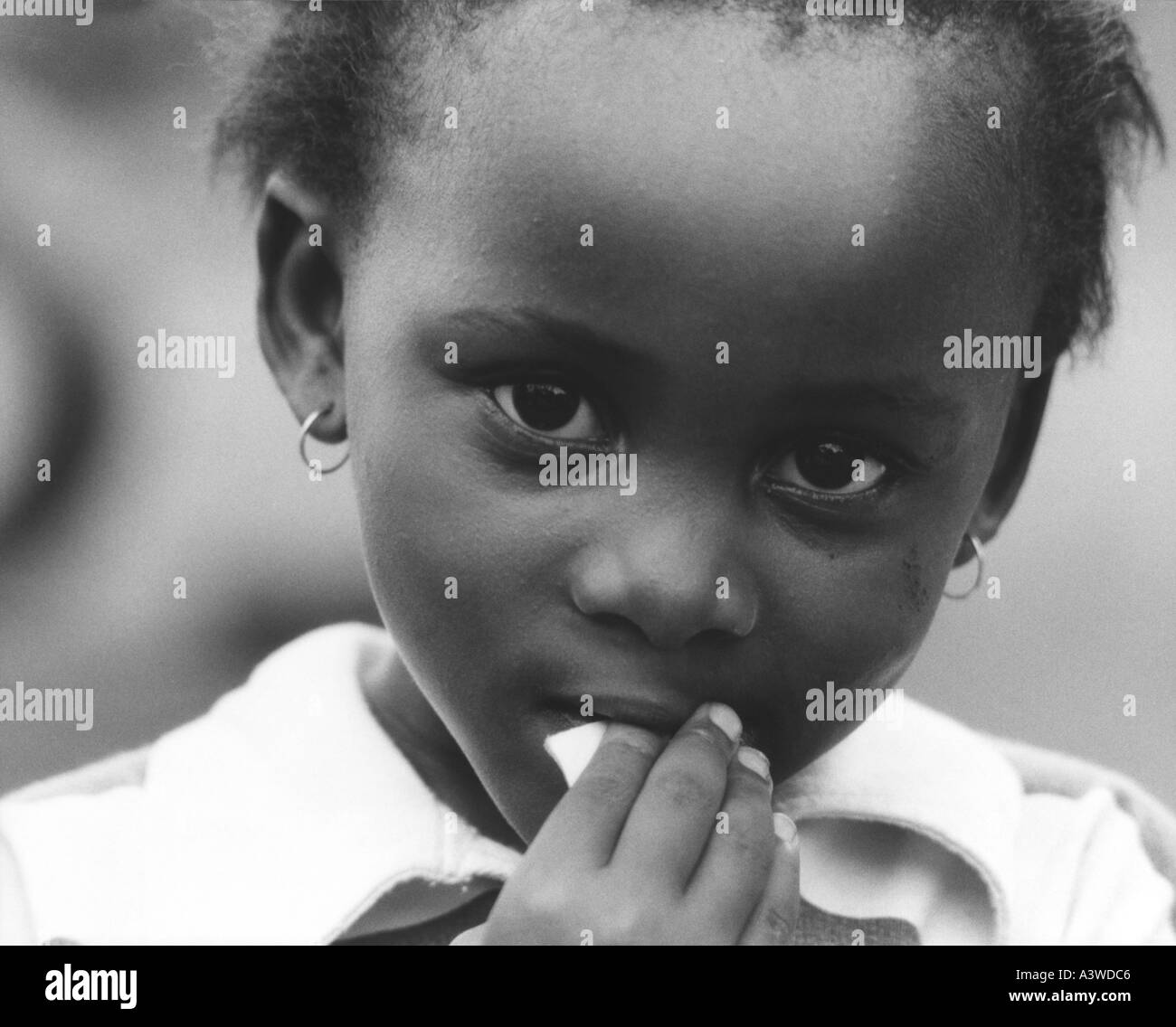 South africa northern transvaal hi-res stock photography and images - Alamy