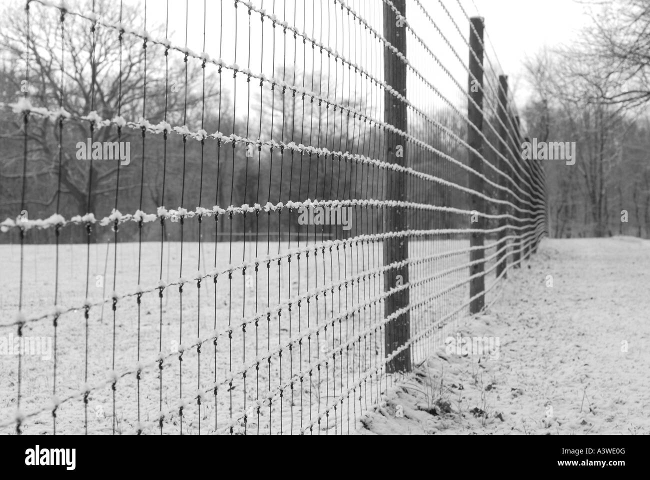 Long Wire fence in the snow Stock Photo - Alamy