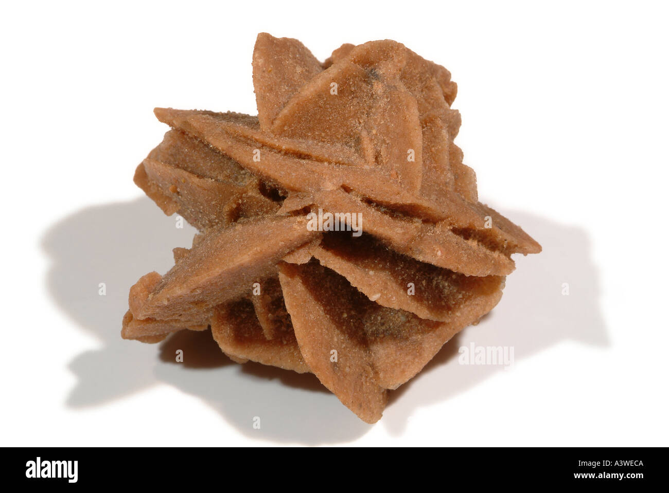 Varient hi-res stock photography and images - Alamy