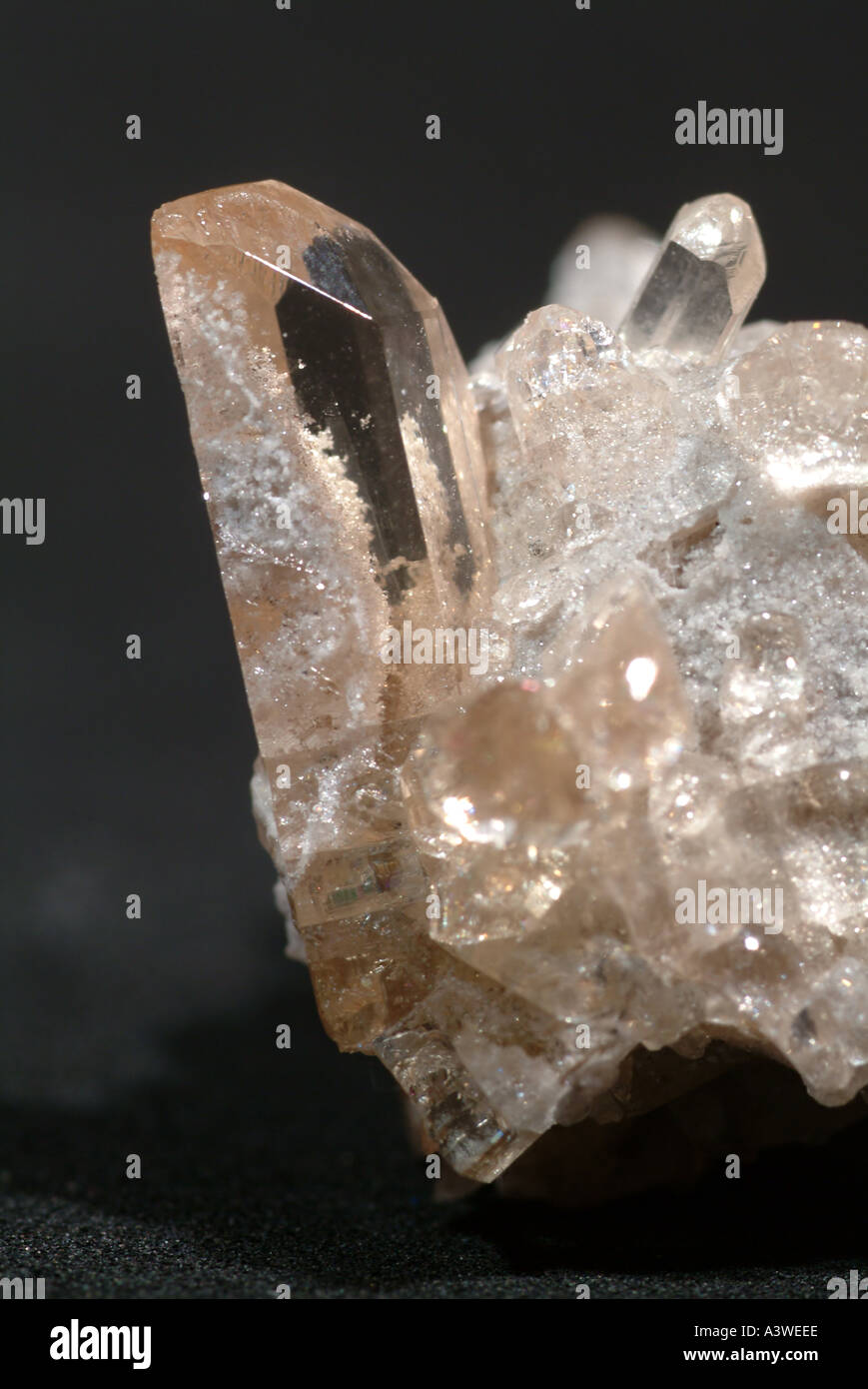 Topaz rose hi-res stock photography and images - Alamy