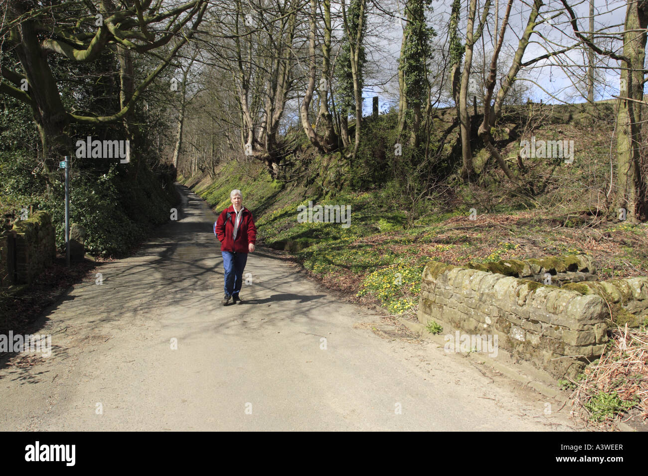 Walking a country lane hi-res stock photography and images - Alamy