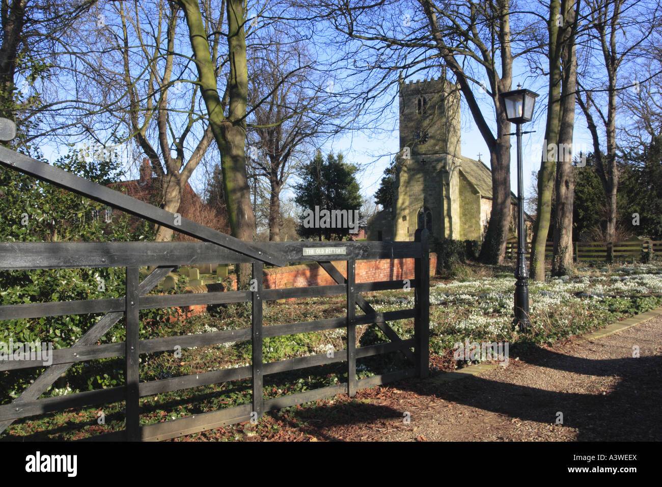 Snowdrops at Kirk Bramwith Stock Photo - Alamy