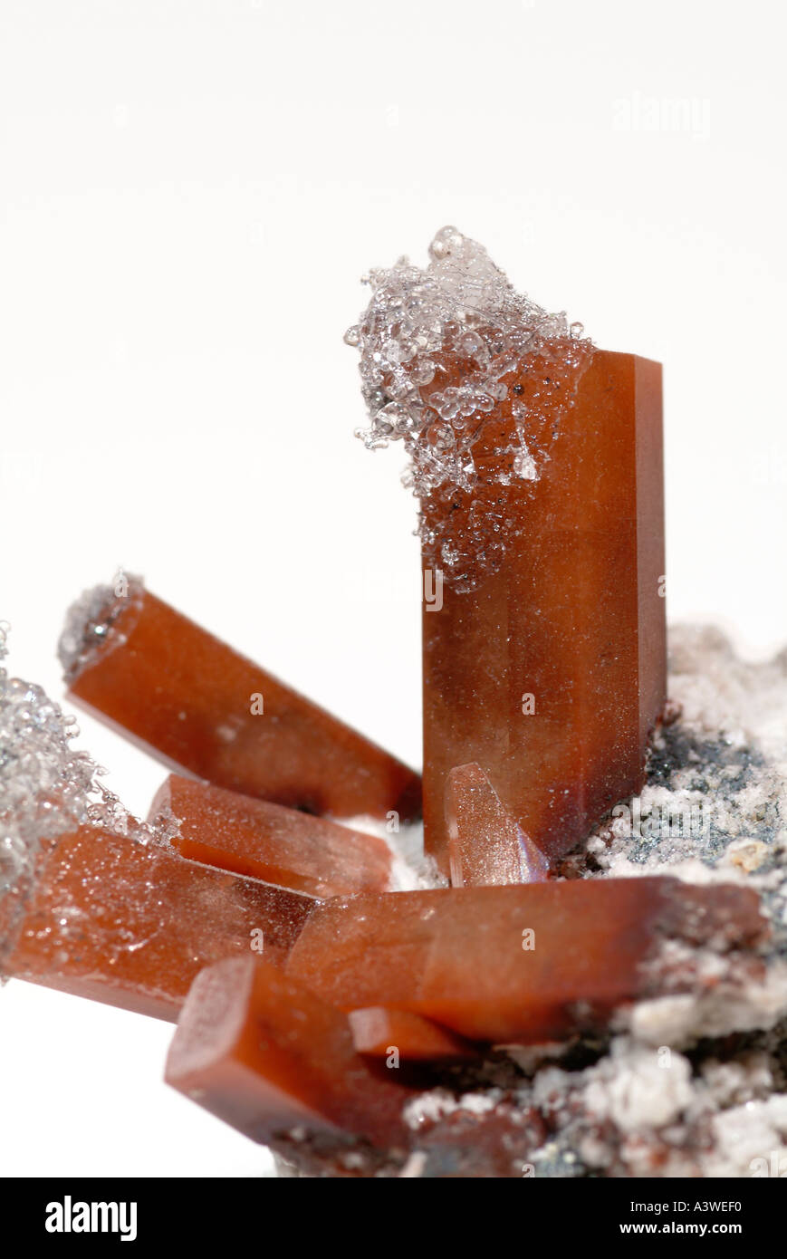 Haline hi-res stock photography and images - Alamy