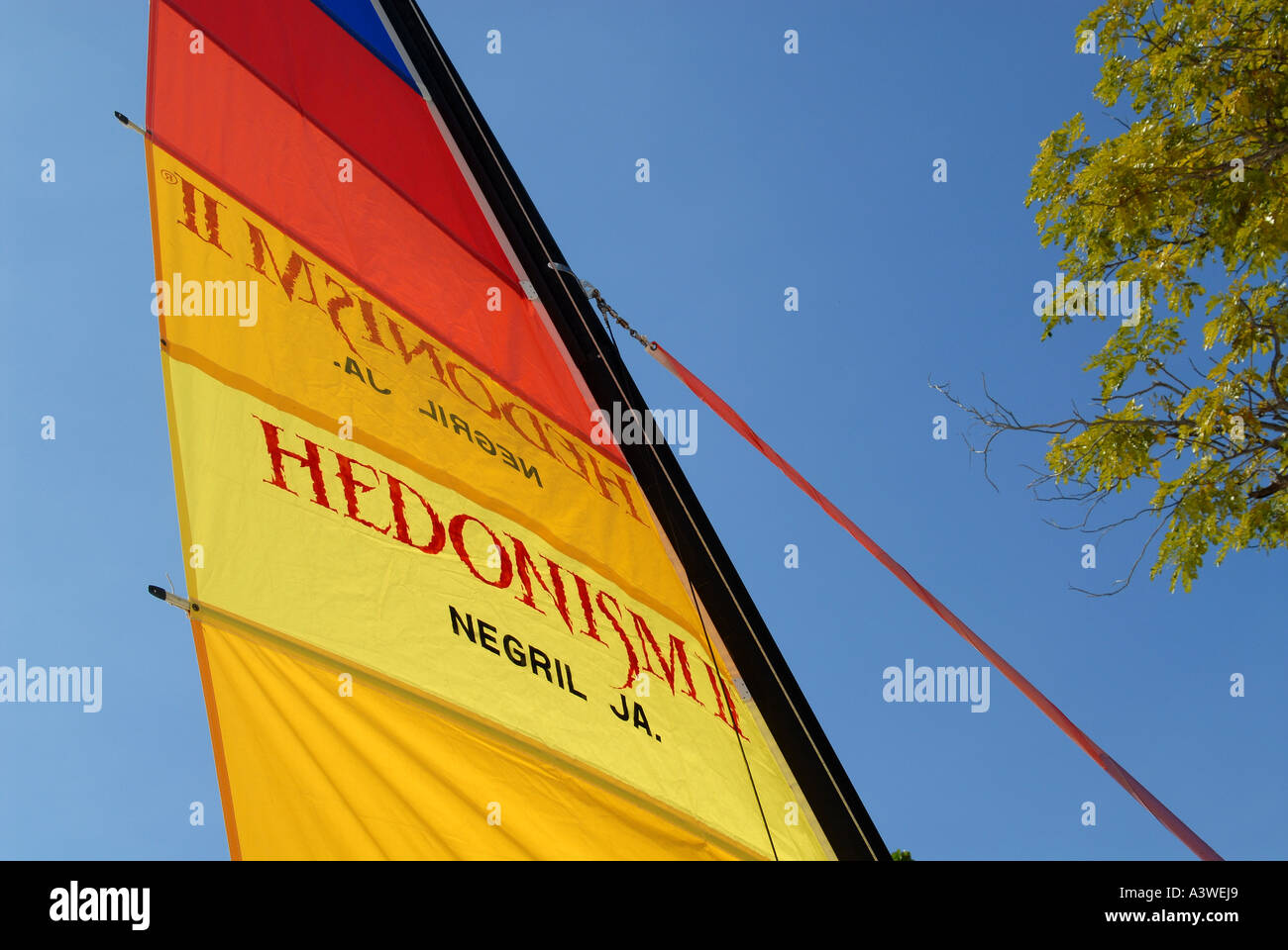 Hedonism logo on windsurfer Negril Jamaica Stock Photo - Alamy