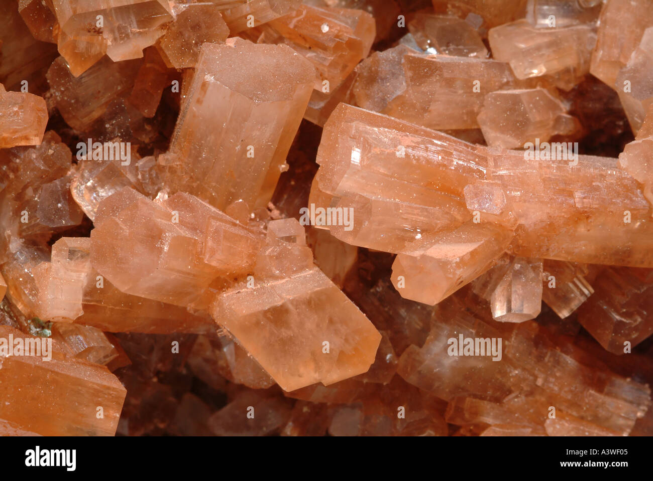 Varient hi-res stock photography and images - Alamy