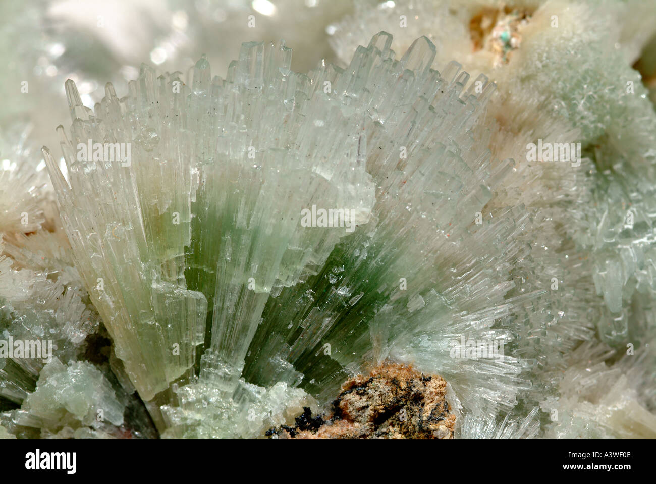 Mineral Aragonite, Green fine radiating crystals. Guihzing, China Stock ...