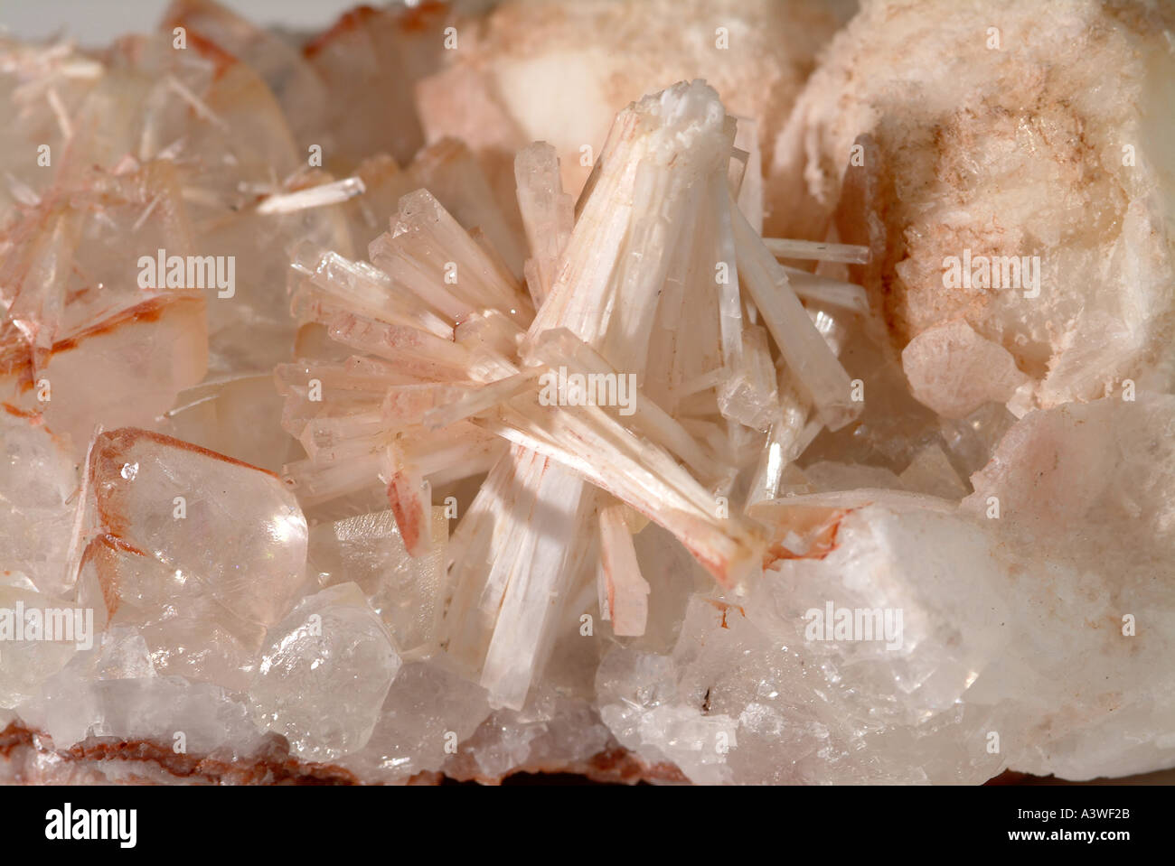 Analcime hi-res stock photography and images - Alamy