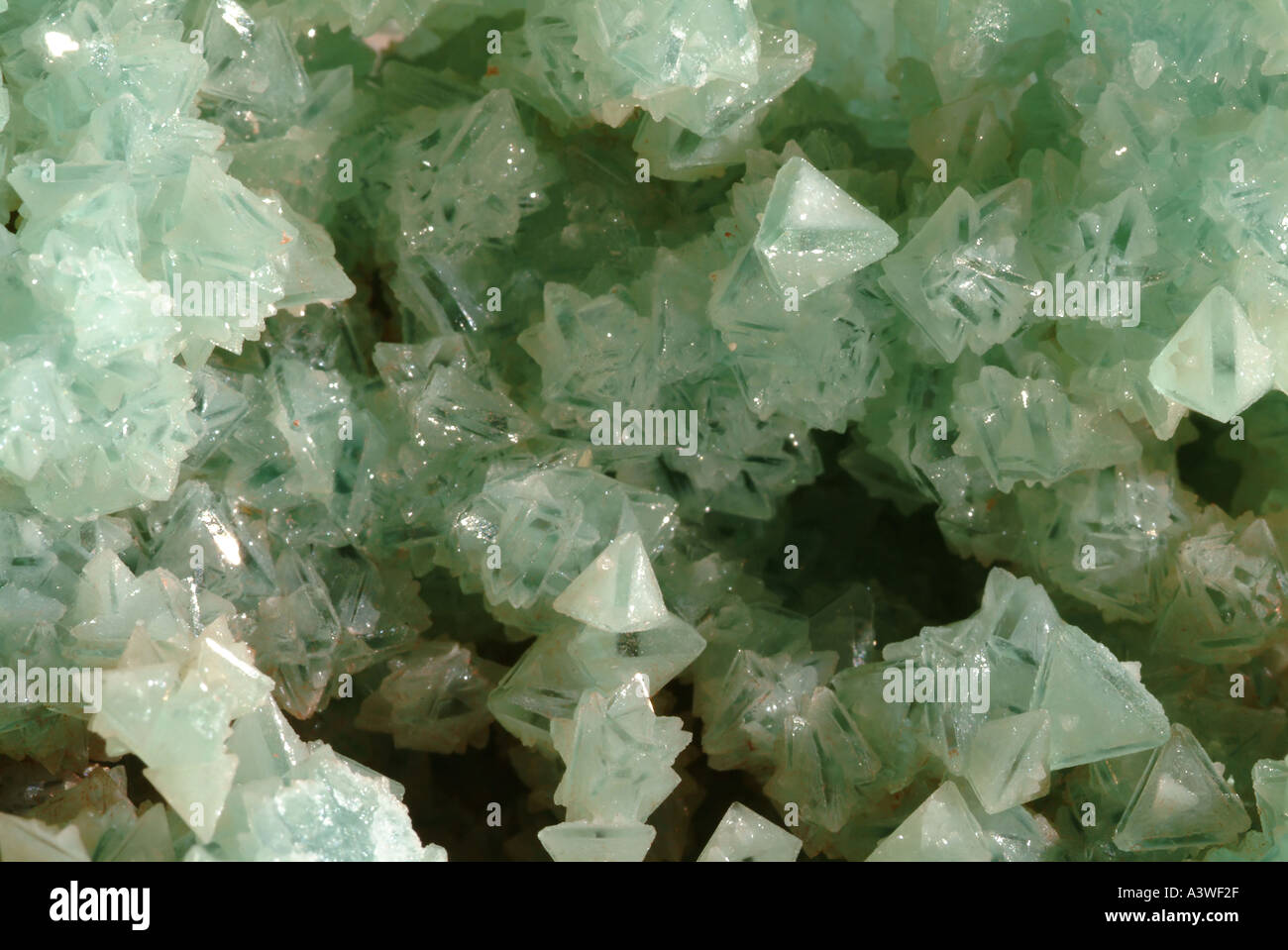 Mineral Boracite, Blue crystals on boacite matrix, Boulby mine, Loftus ...