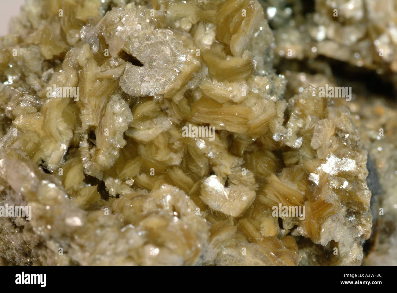 Mineral Muscovite, Varient Gilbertite, Small platy crystals, North ...