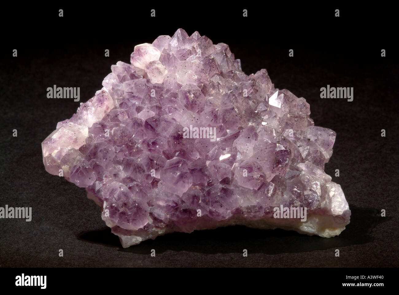 Varient hi-res stock photography and images - Alamy