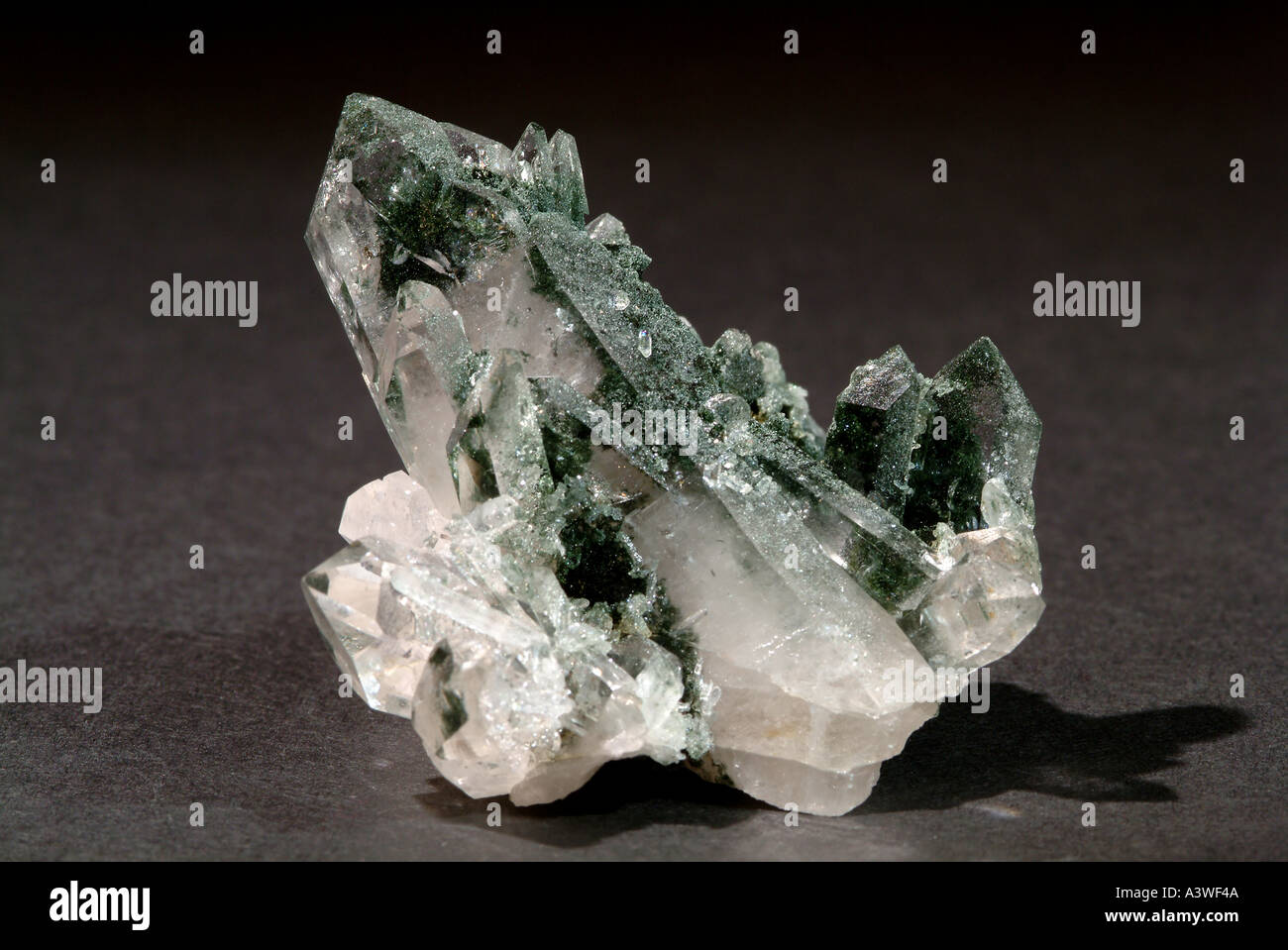 Mineral Quartz, Rock crystal partially coated in green chlorite ...