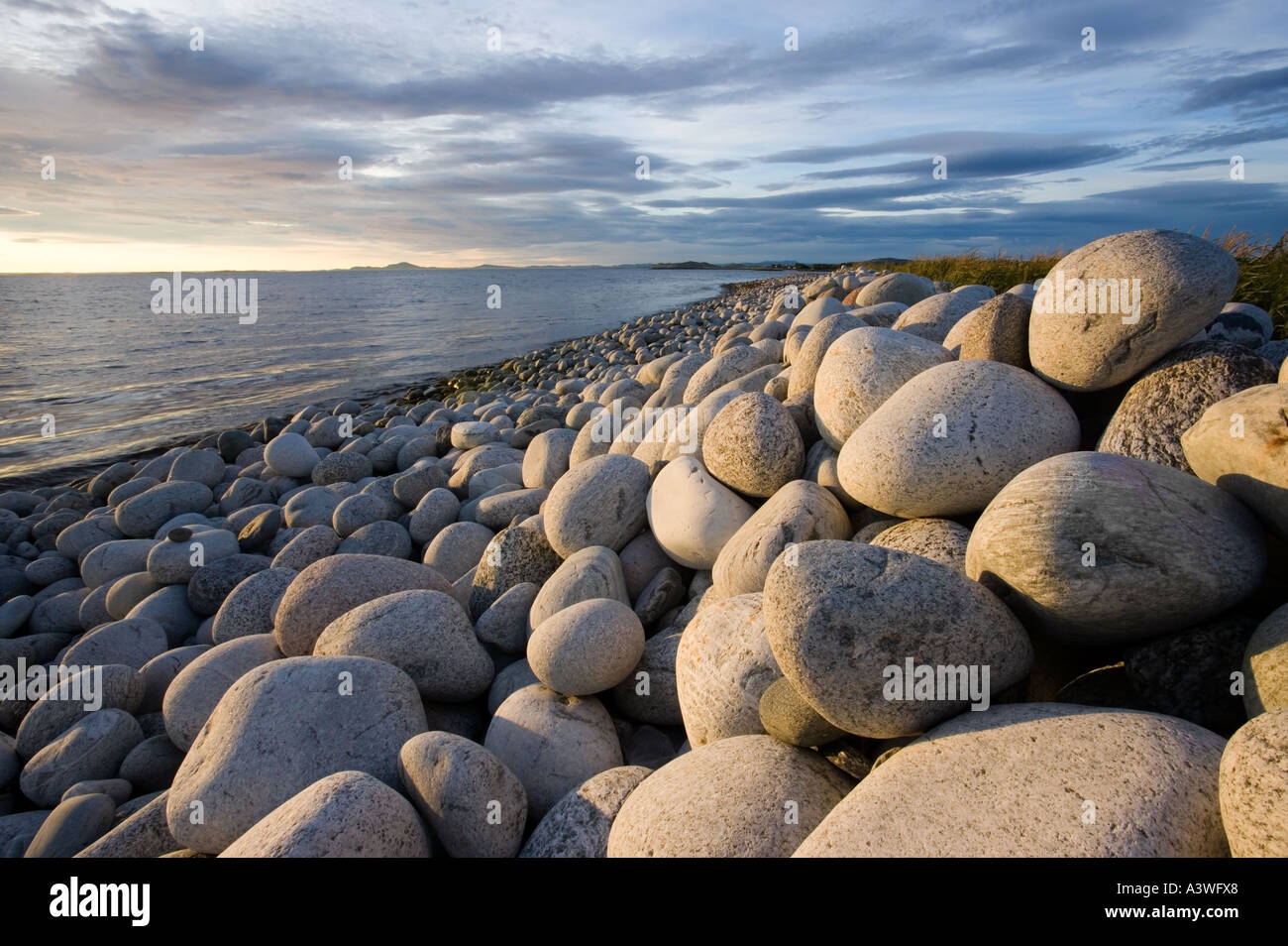 stones by the sea Stock Photo - Alamy