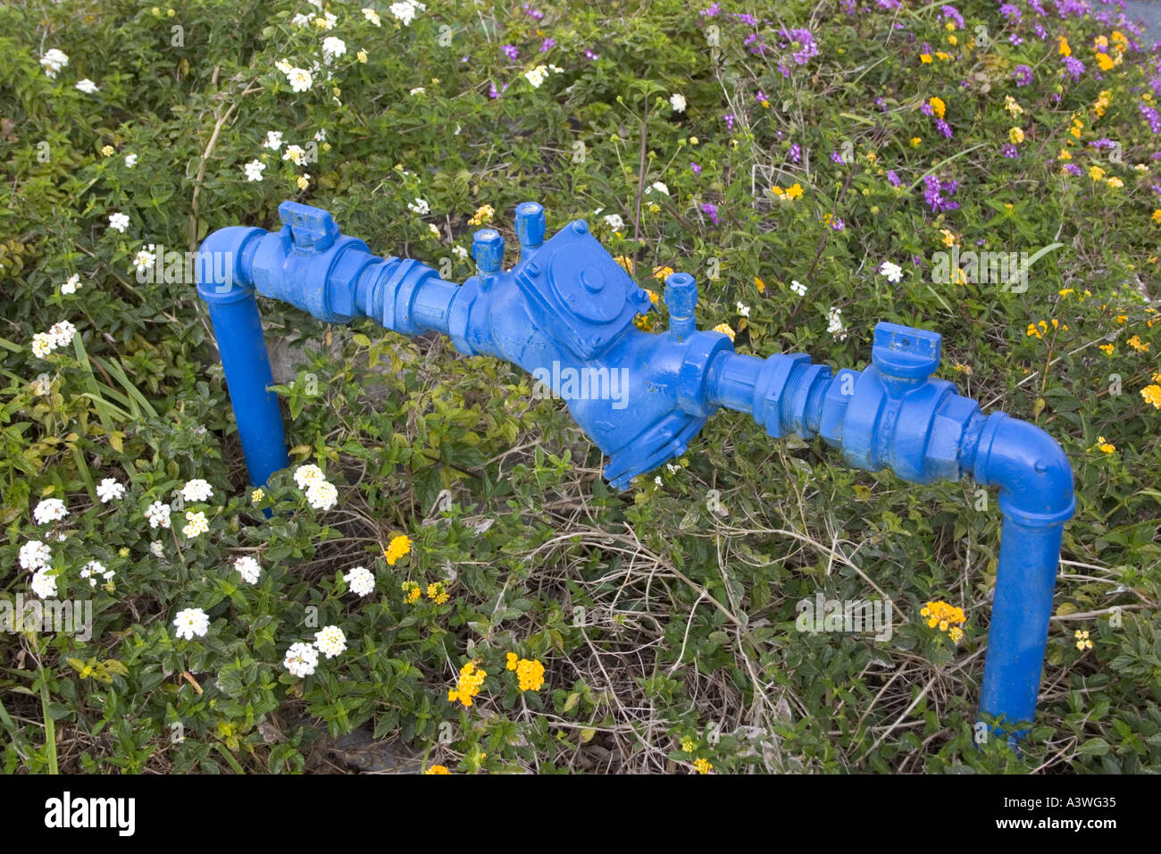 Blue gas pipe on boulevard of grass and flowers outside of Orange ...