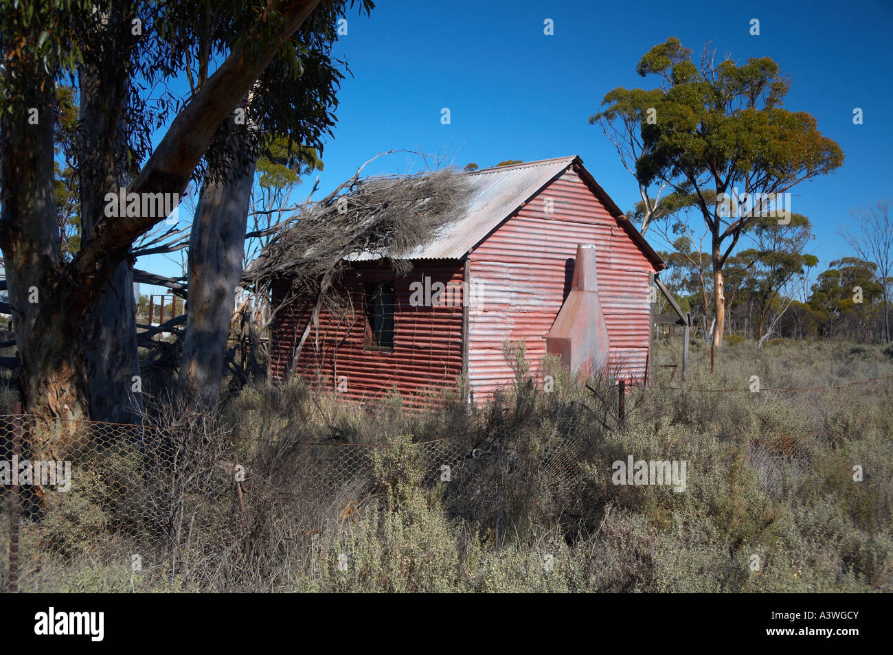 Old tin shack in the Western Australian outback Stock Photo - Alamy
