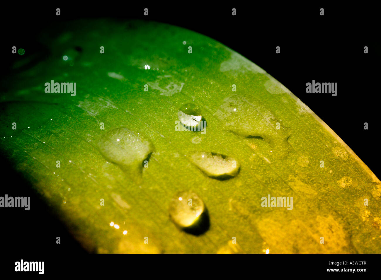 Gradual slope hi-res stock photography and images - Alamy