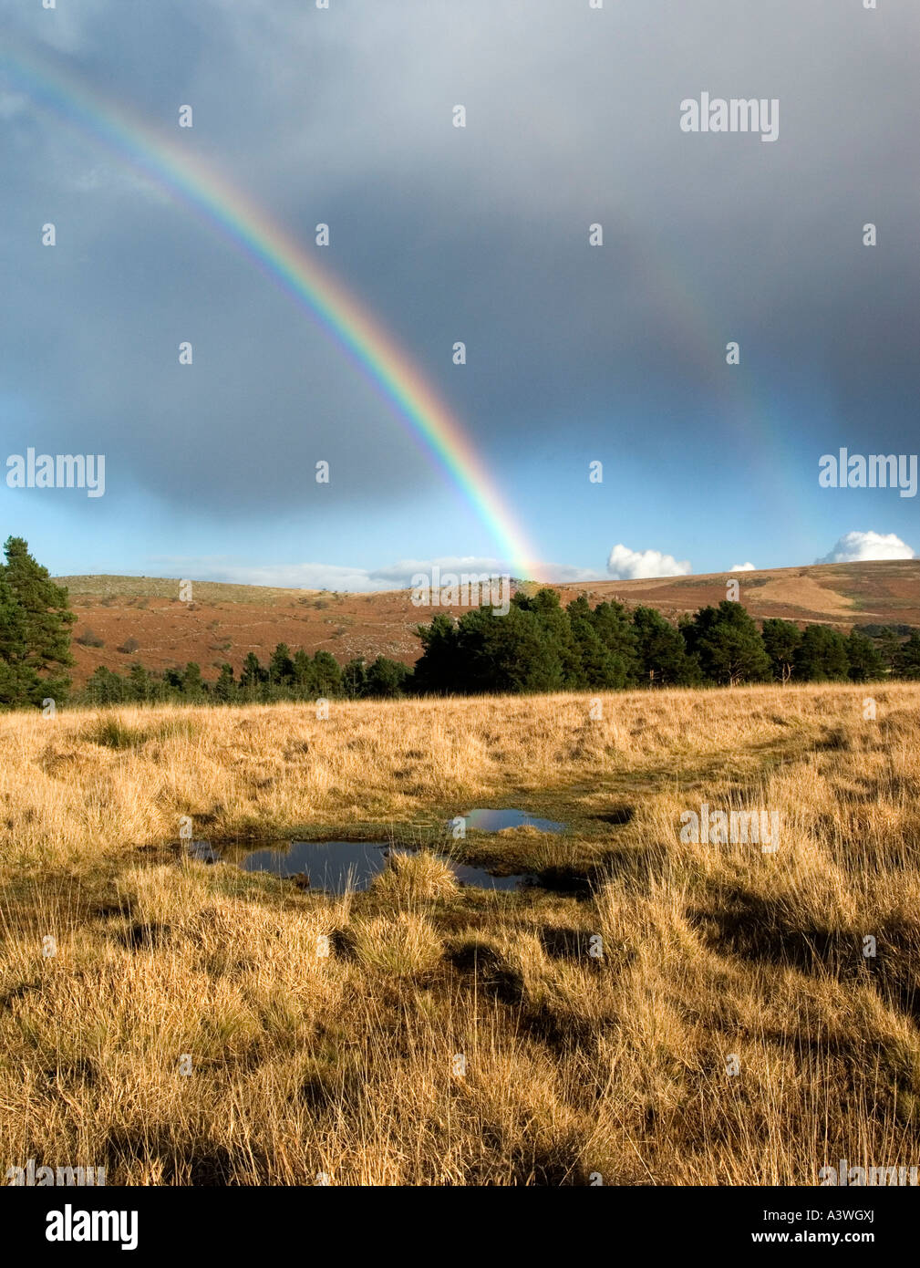 Secondary arch hi-res stock photography and images - Alamy