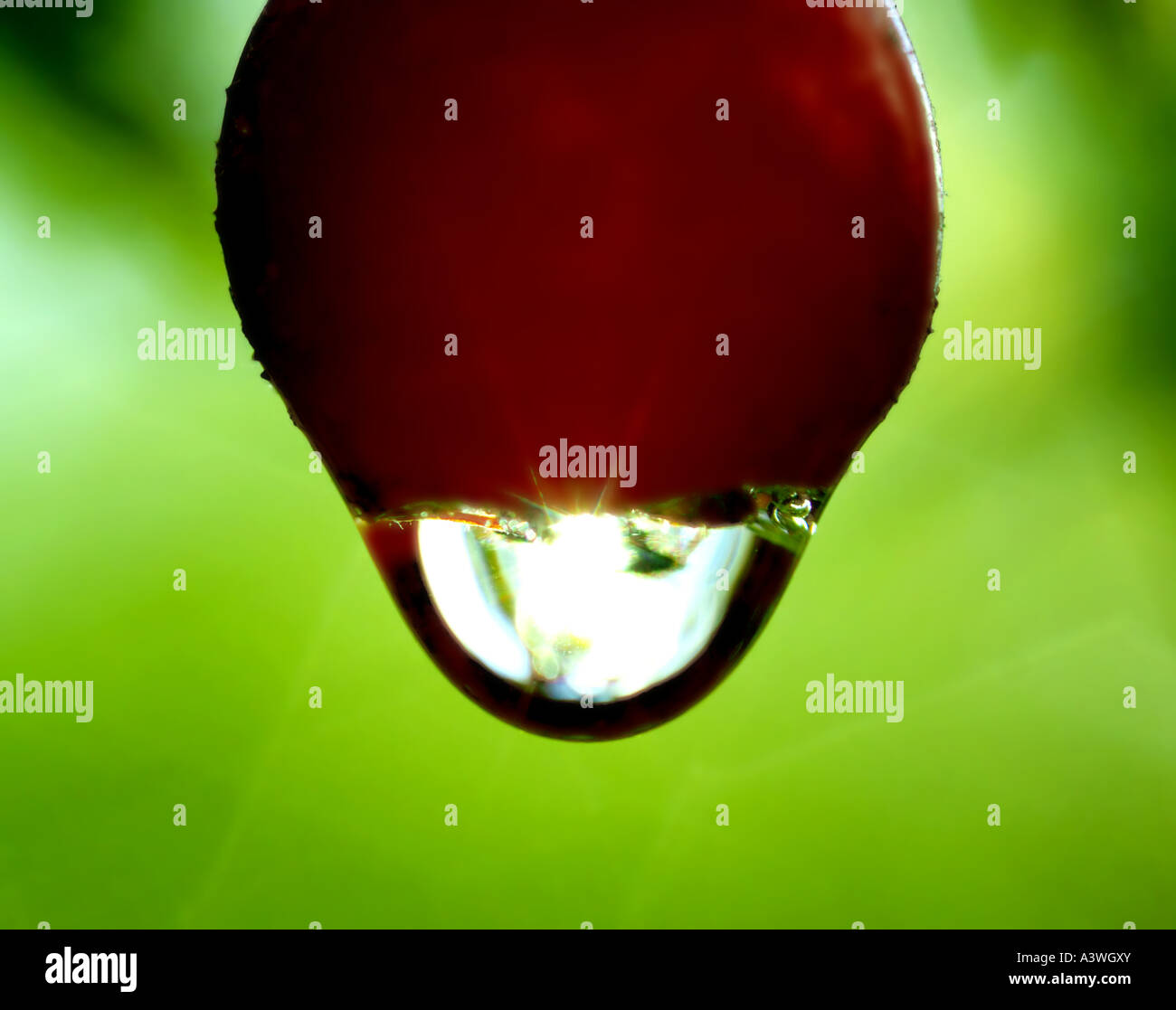 Moon drop hi-res stock photography and images - Alamy