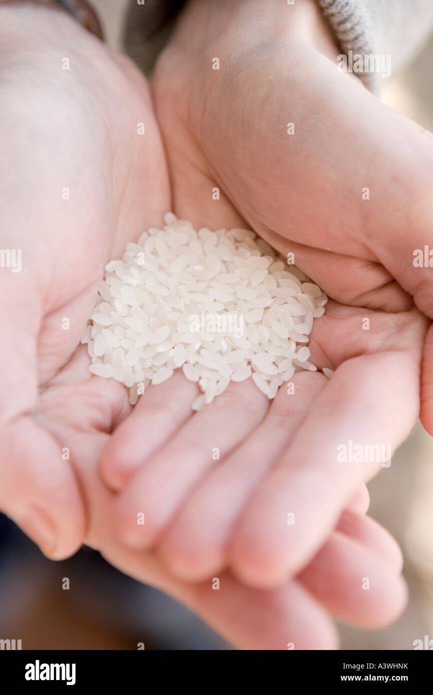 grains of short grain white rice in hand Stock Photo - Alamy
