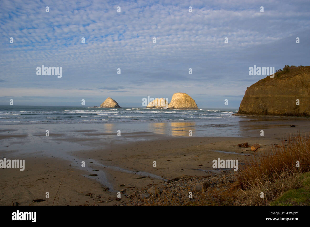 Three Arch Rocks NWR, Seaside, Oregon Stock Photo - Alamy