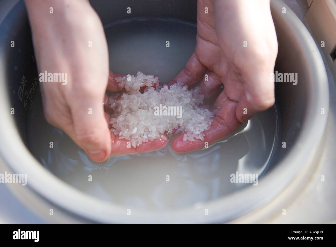 close up of hands washing rice in rice cooker Stock Photo - Alamy
