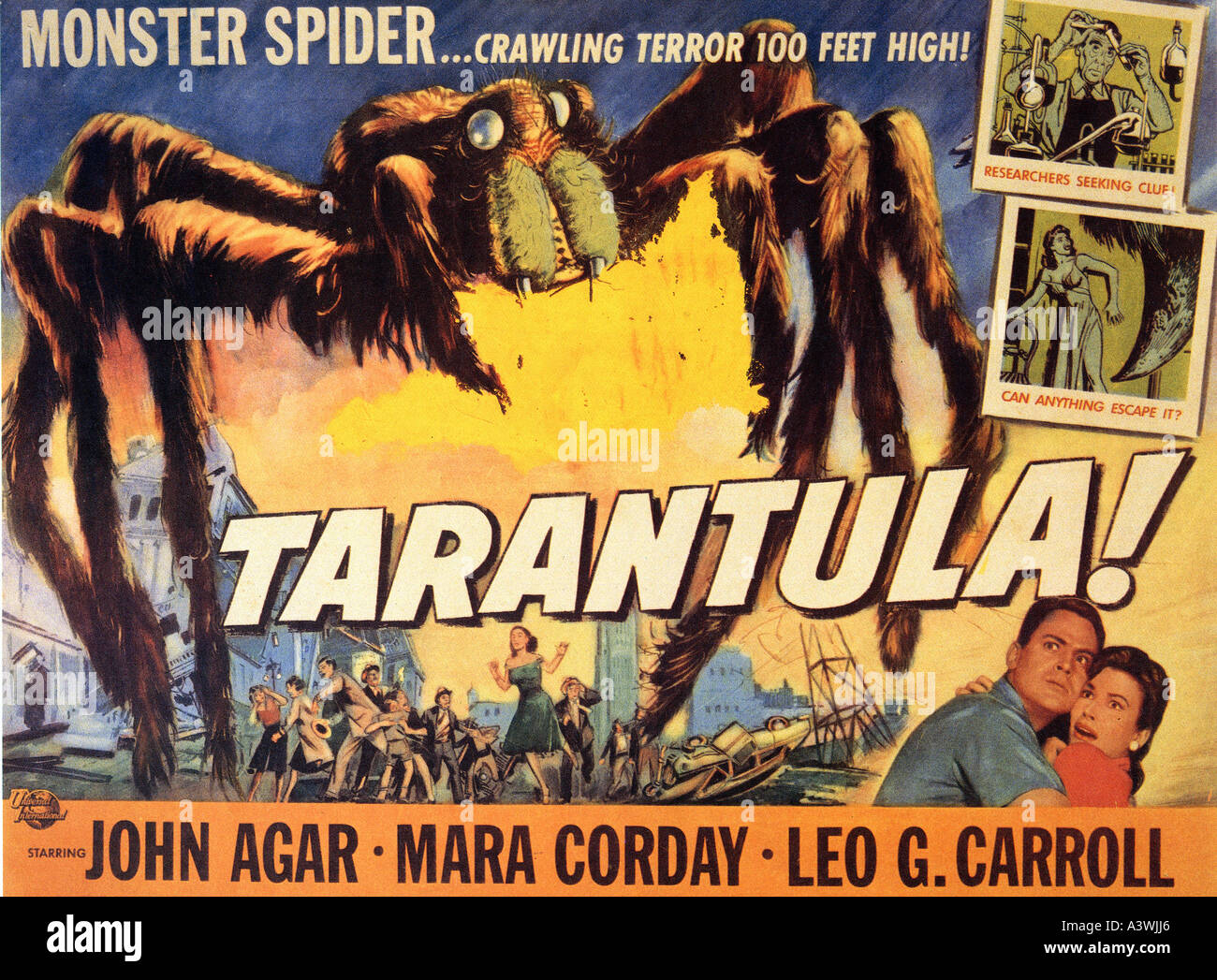 1955 tarantula hi-res stock photography and images - Alamy