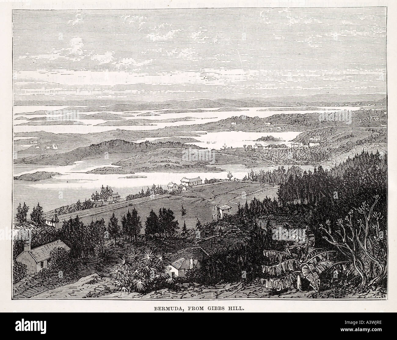 bermuda gibbs hill View British Britain Caribbean colony Atlantic ocean ...