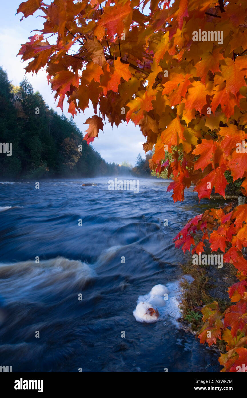 The Tahquamenon River with fall color in Tahquamenon Falls State Park ...