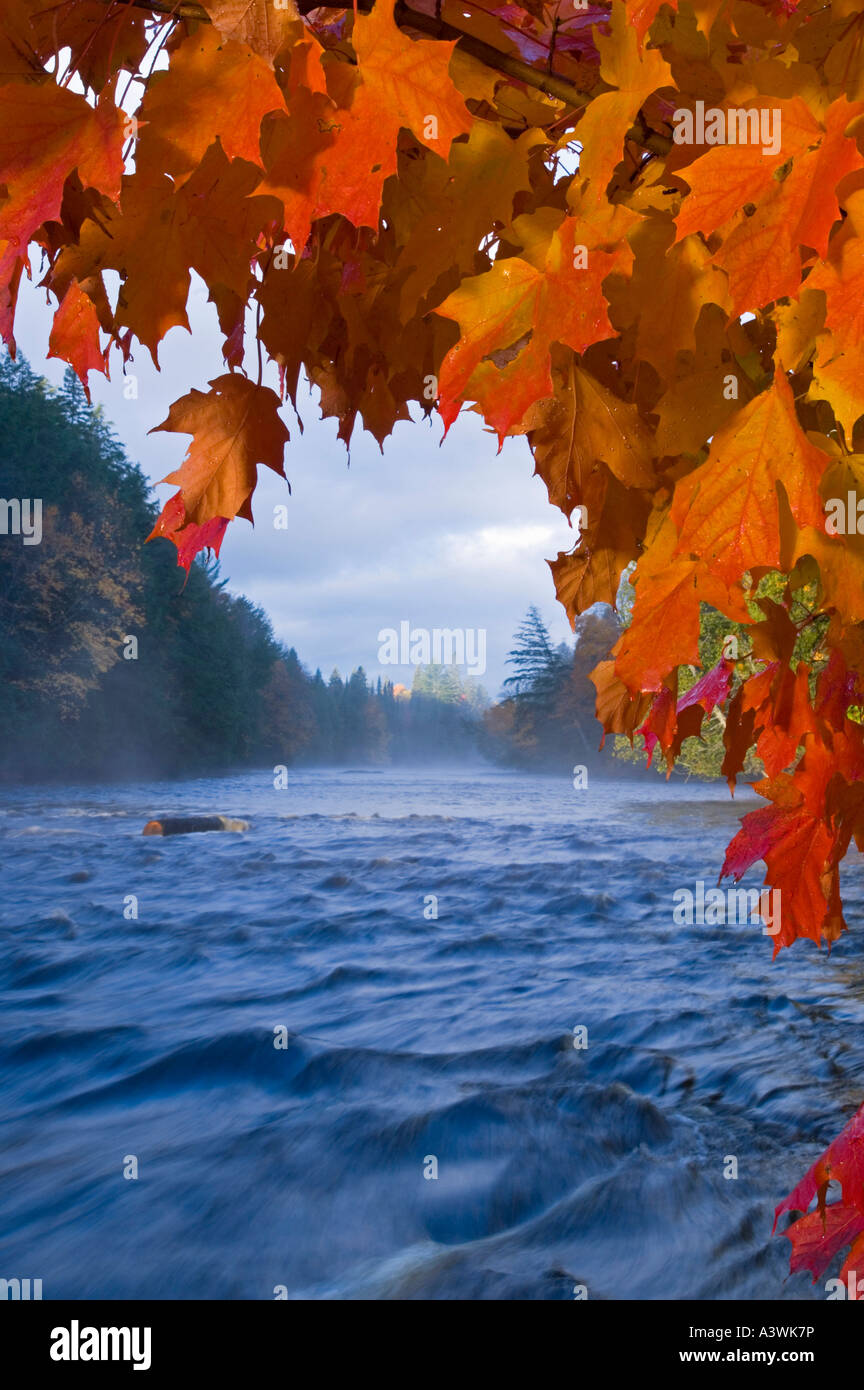 The Tahquamenon River with fall color in Tahquamenon Falls State Park ...