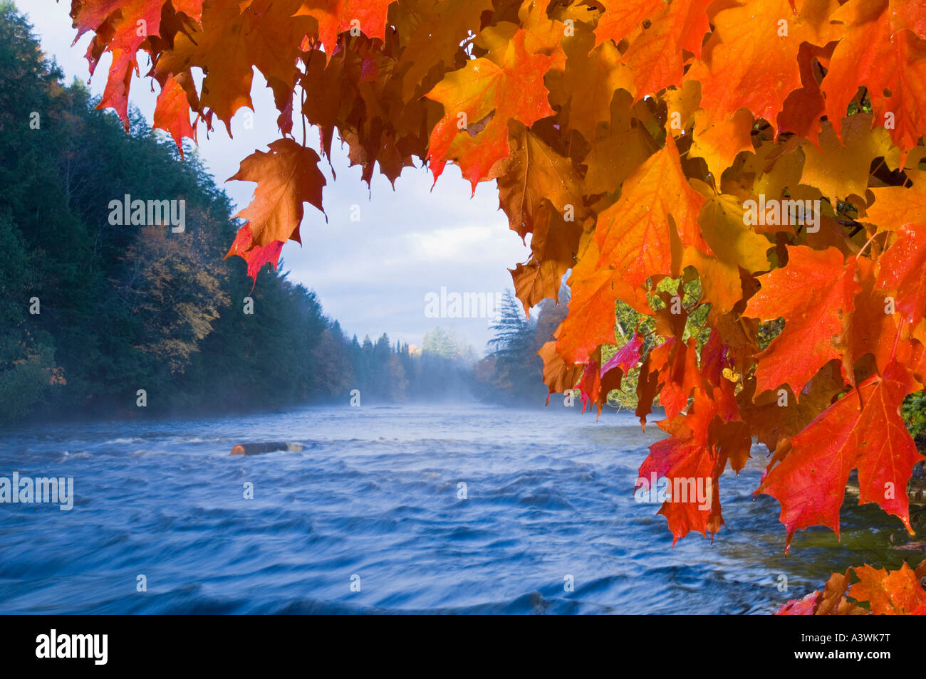 The Tahquamenon River with fall color in Tahquamenon Falls State Park ...