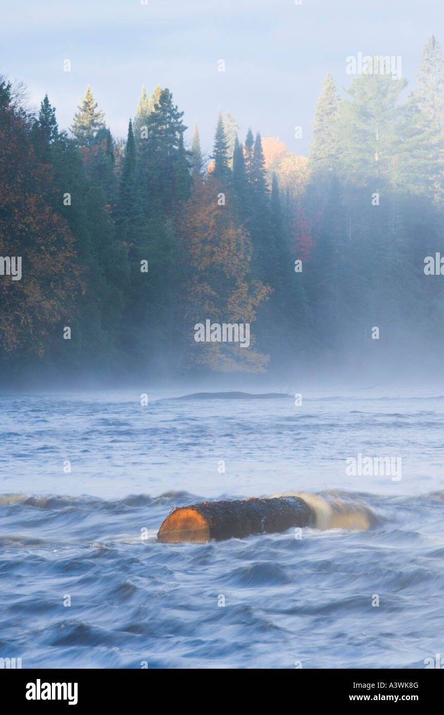 The Tahquamenon River with fall color in Tahquamenon Falls State Park ...
