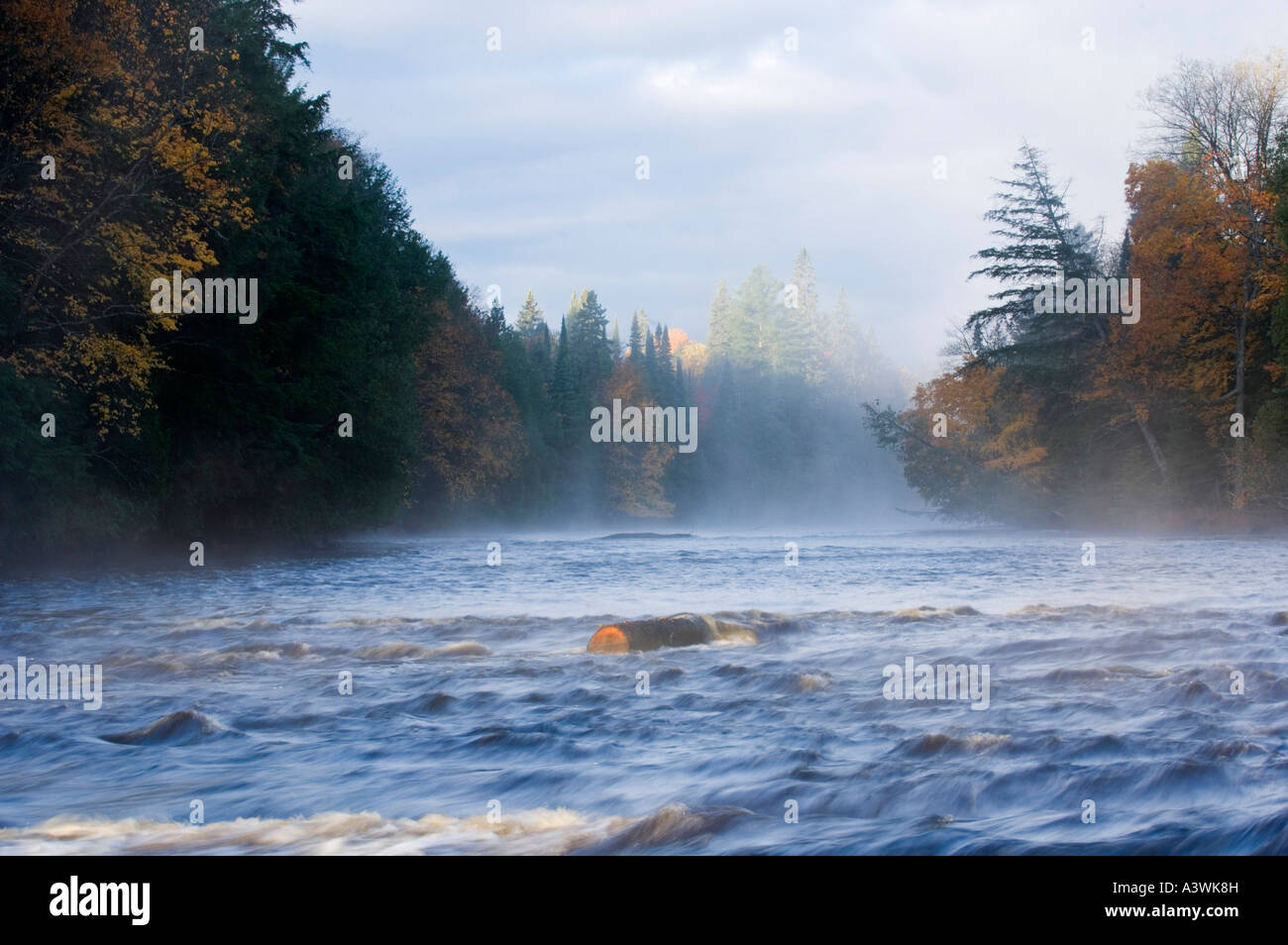 The Tahquamenon River with fall color in Tahquamenon Falls State Park ...