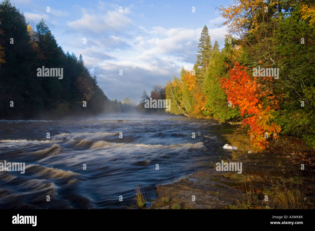 The Tahquamenon River with fall color in Tahquamenon Falls State Park ...