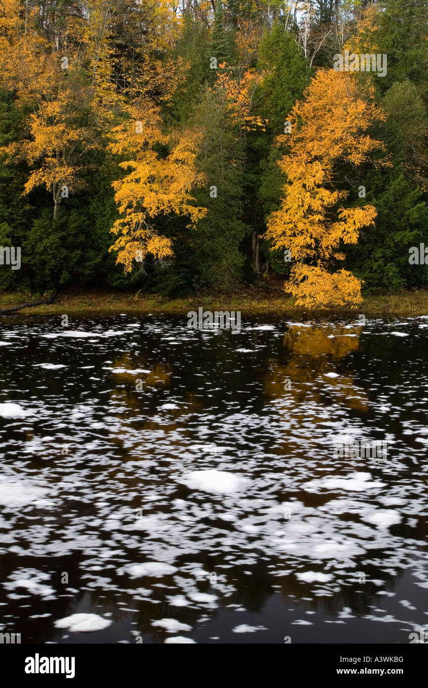 The Tahquamenon River with fall color in Tahquamenon Falls State Park ...