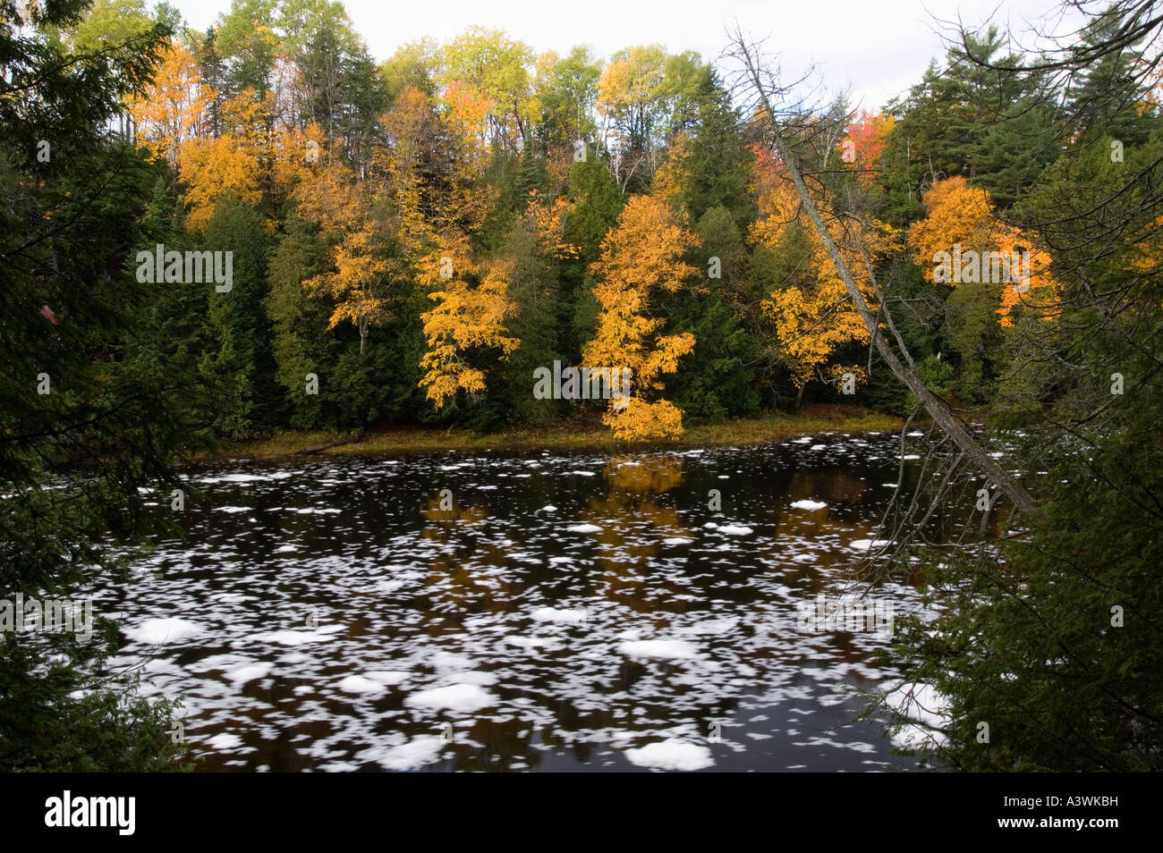 The Tahquamenon River with fall color in Tahquamenon Falls State Park ...