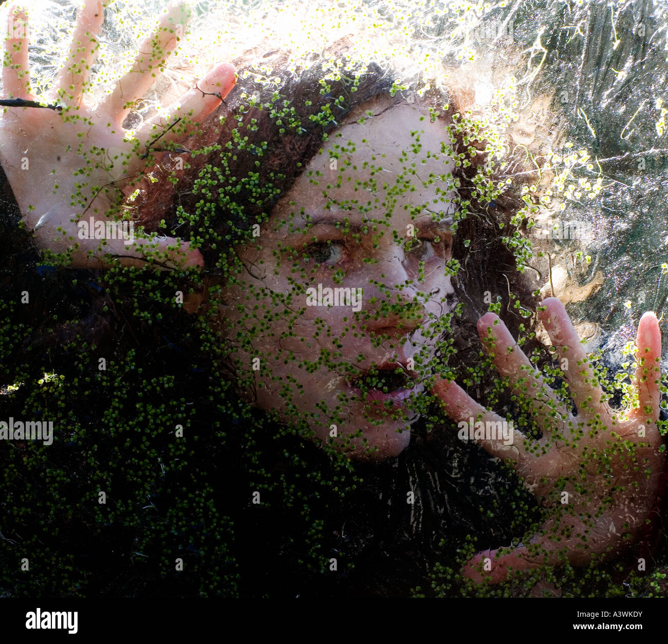 Nightmare. Let me out Stock Photo - Alamy