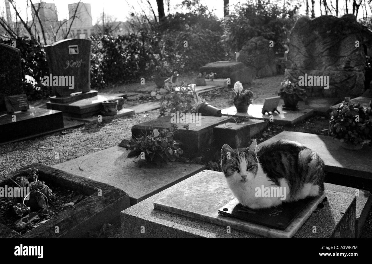 Pet animal cemetery in Asnières-sur-Seine near Paris Stock Photo - Alamy