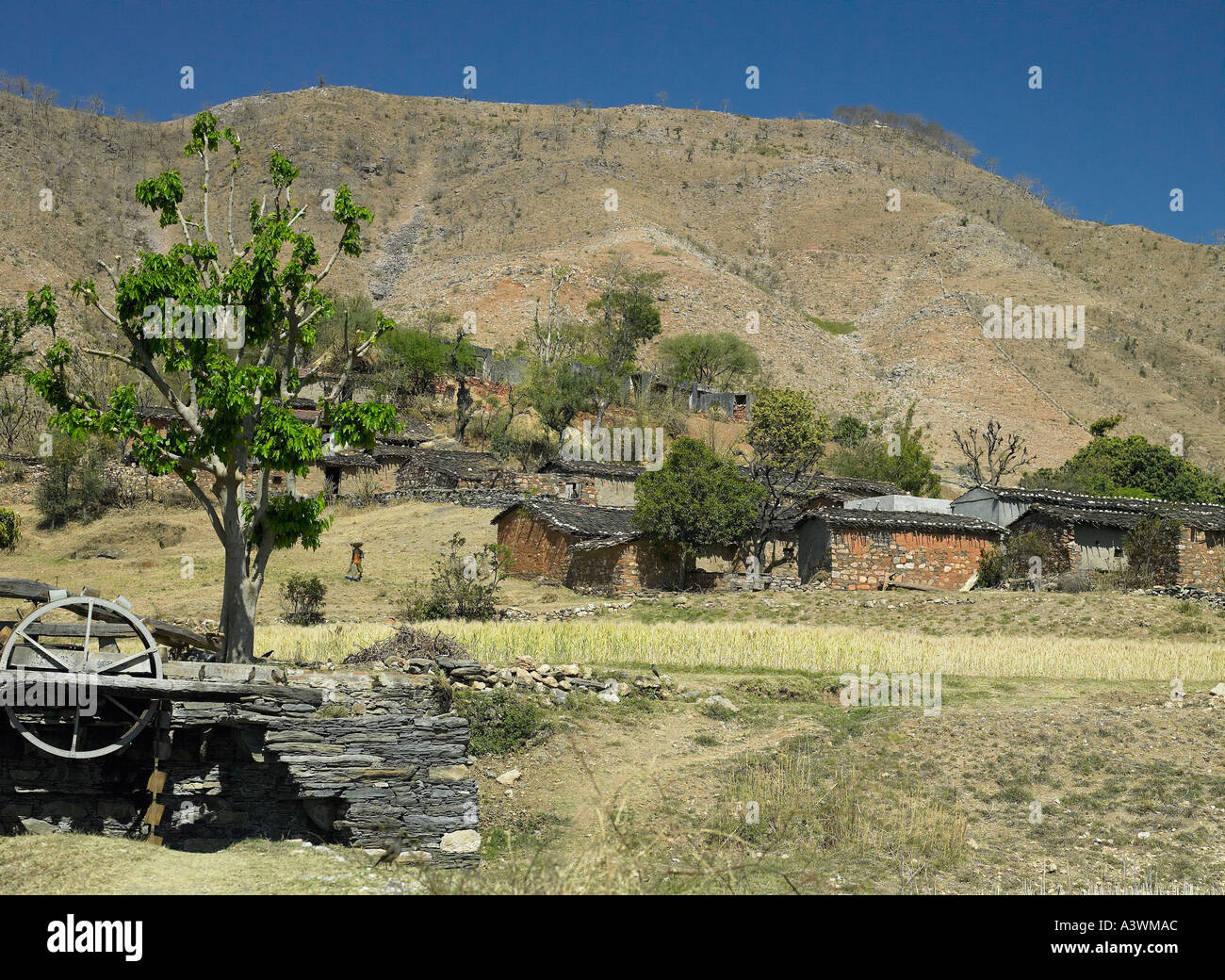 Indian village in rural Rajasthan, India Stock Photo - Alamy