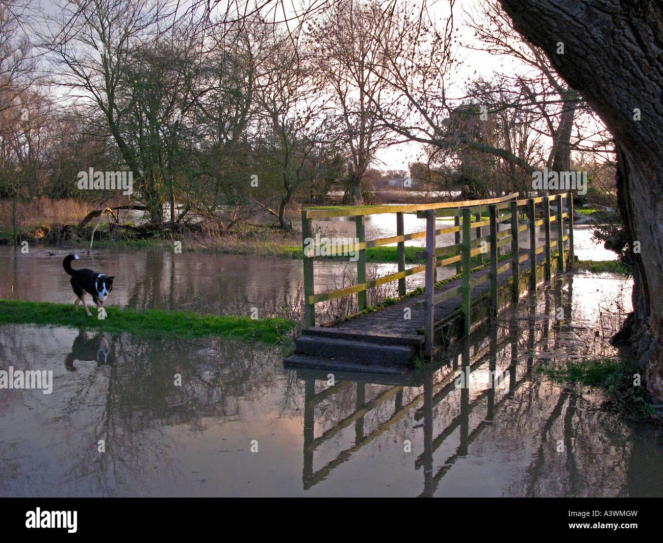 River Ouse flooded by the walkway.Houghton Cambridgeshire.UK Stock ...