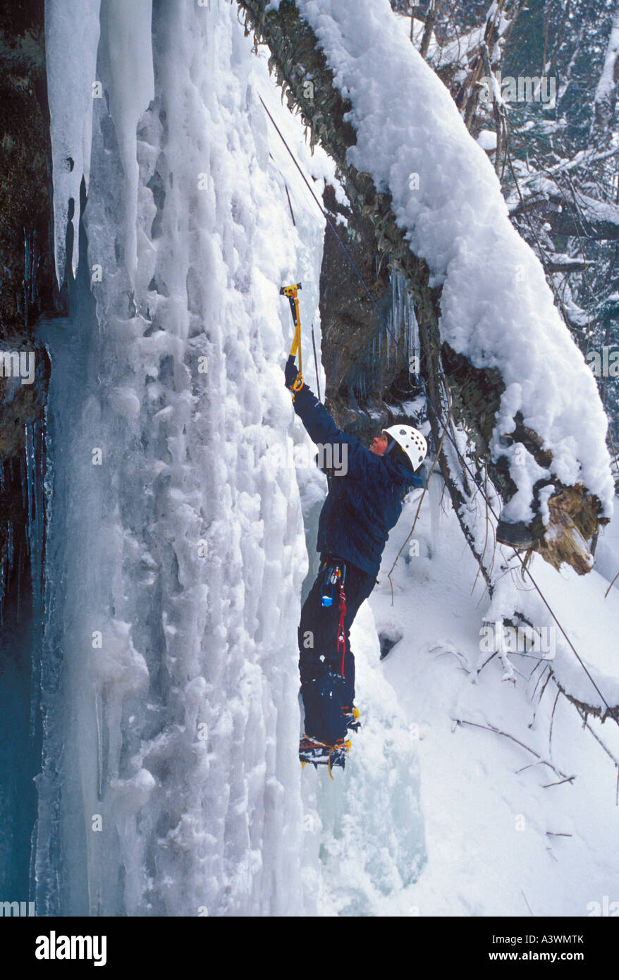A female ice climber begins a climb on a frozen waterfall at Pictured ...