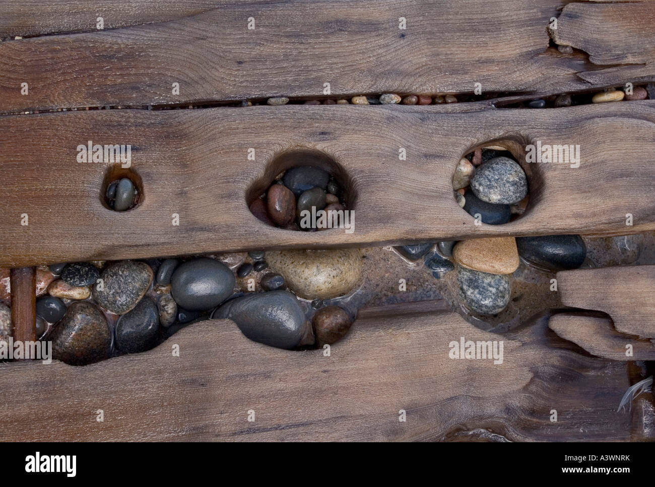 Detail of shipwreck, Lake Superior, Pictured Rocks National Lakeshore ...
