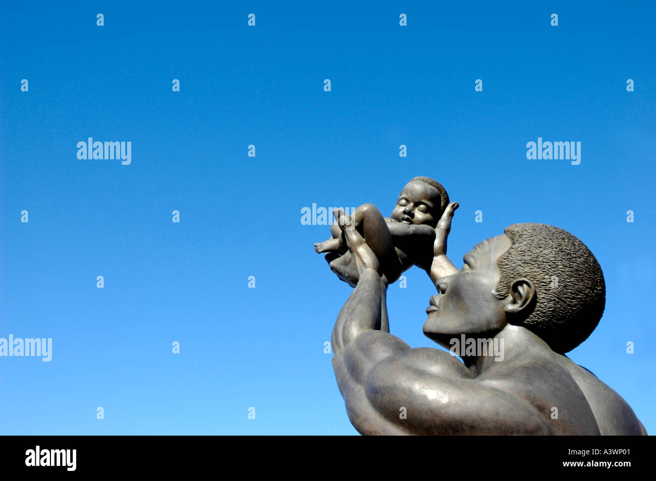 Patrick Morelli High Resolution Stock Photography and Images - Alamy