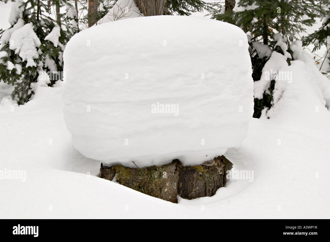 Snowfall at McCormick Wilderness Area of Ottawa National Forest near ...