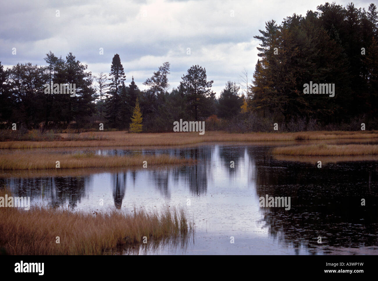 Ponds jpg hi-res stock photography and images - Alamy