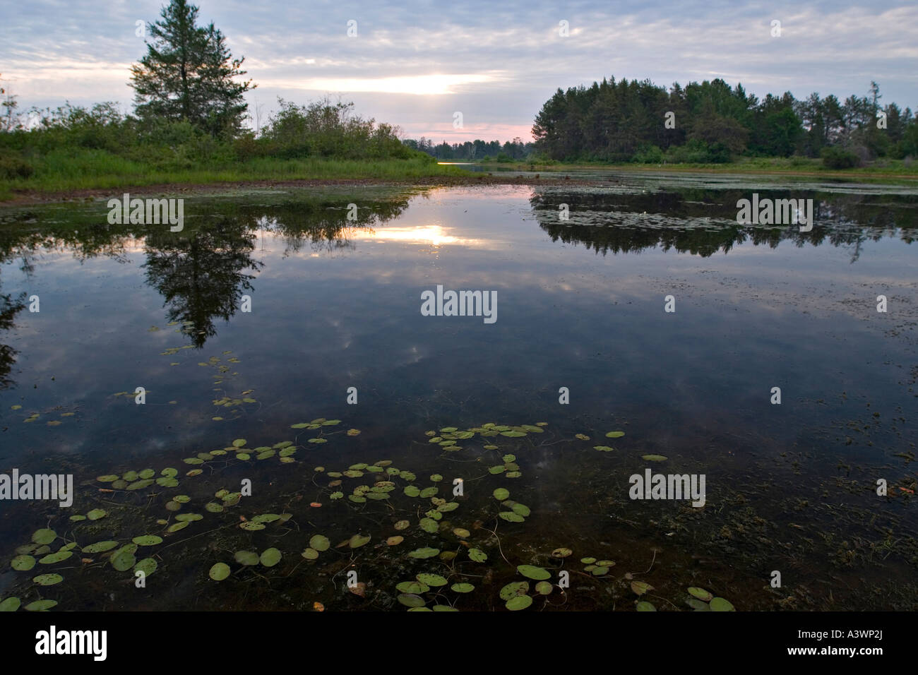 Seney hi-res stock photography and images - Alamy