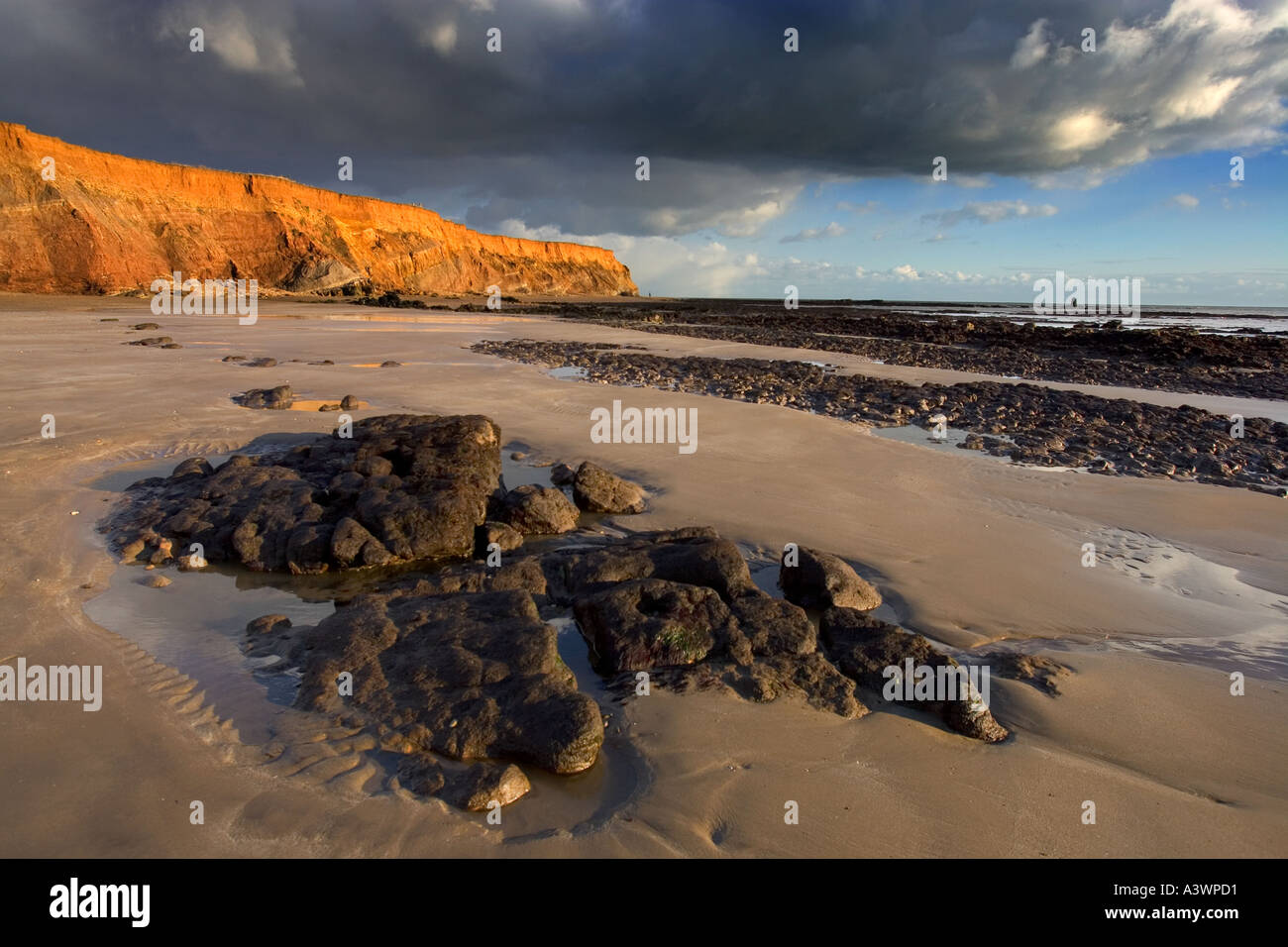 Compton beach isle of wight fossil hi-res stock photography and images ...