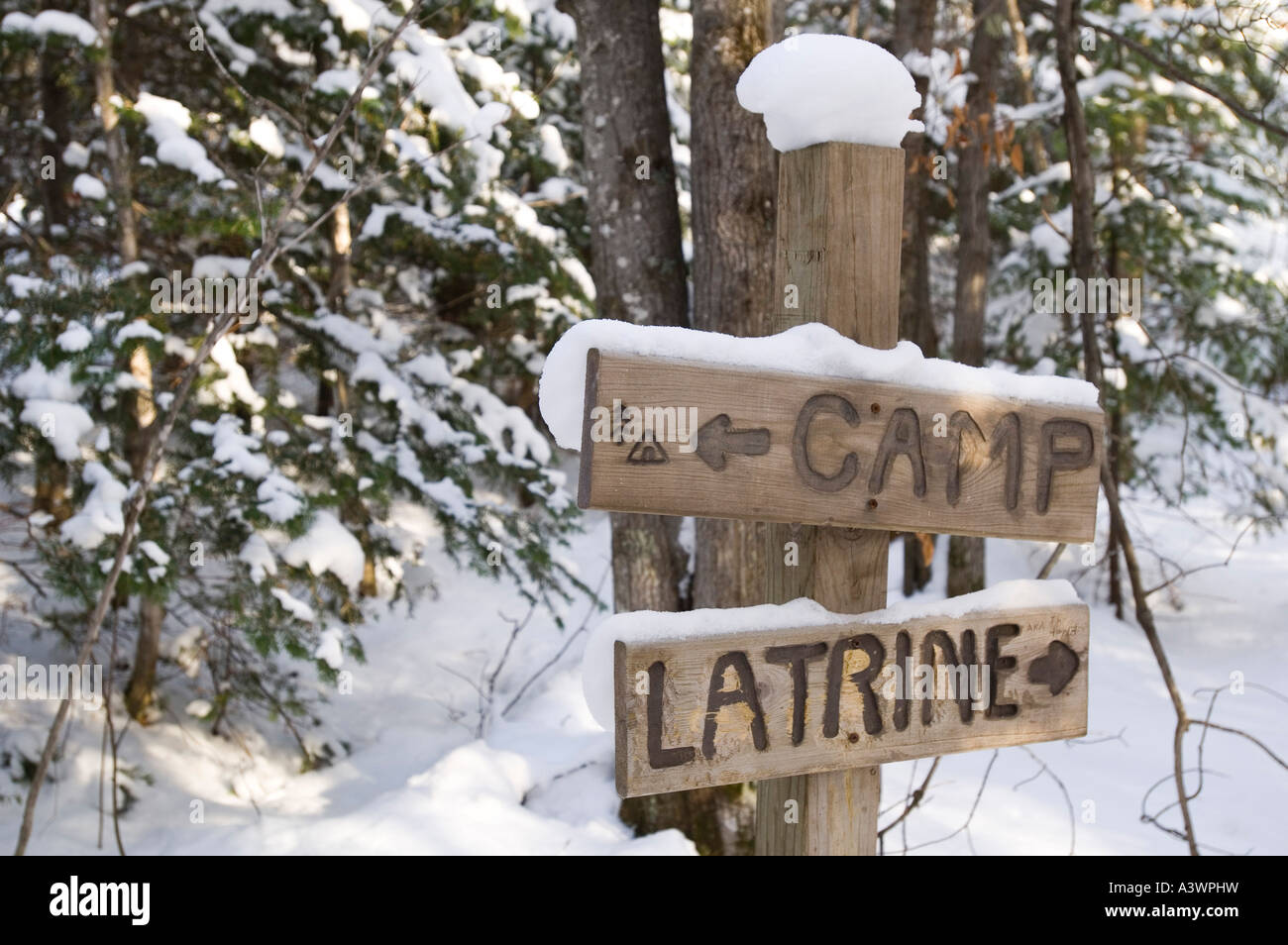 A rustic sign in the Escanaba River State Forest near the Little Garlic ...