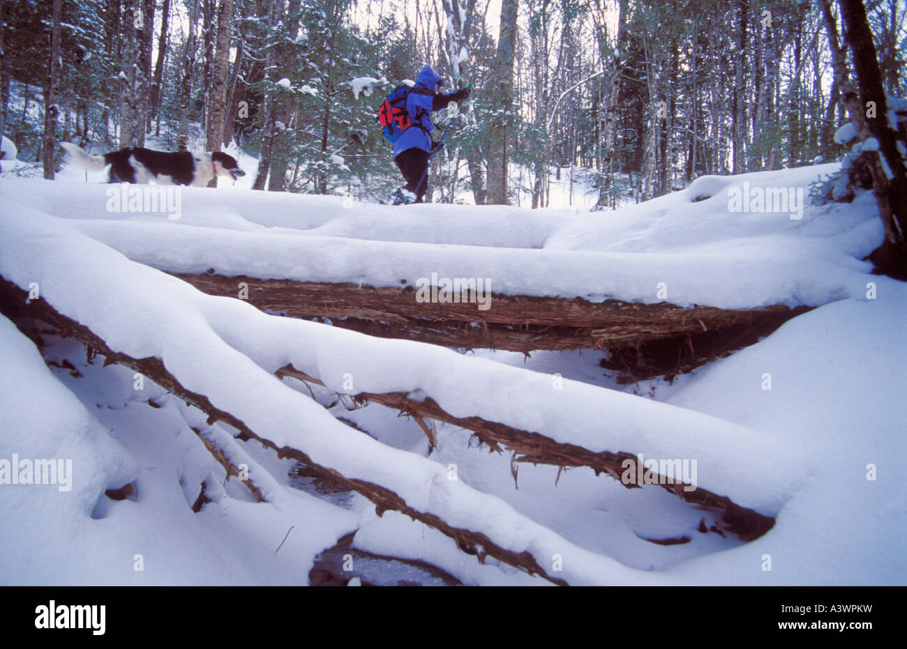 Snowshoeing Hiawatha National Forest Rock River Canyon Wilderness Area ...